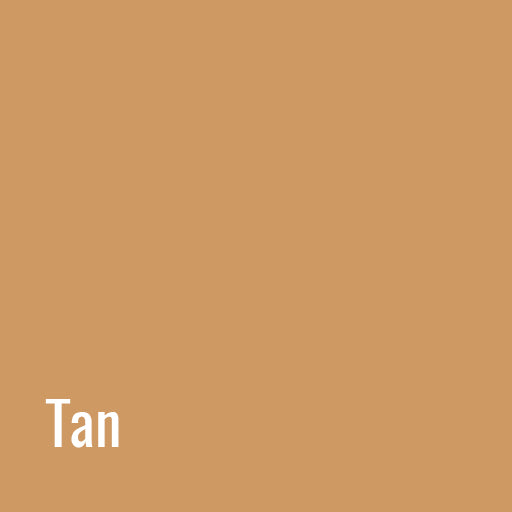 12" Tan - Siser EasyWeed Heat Transfer Vinyl (HTV)